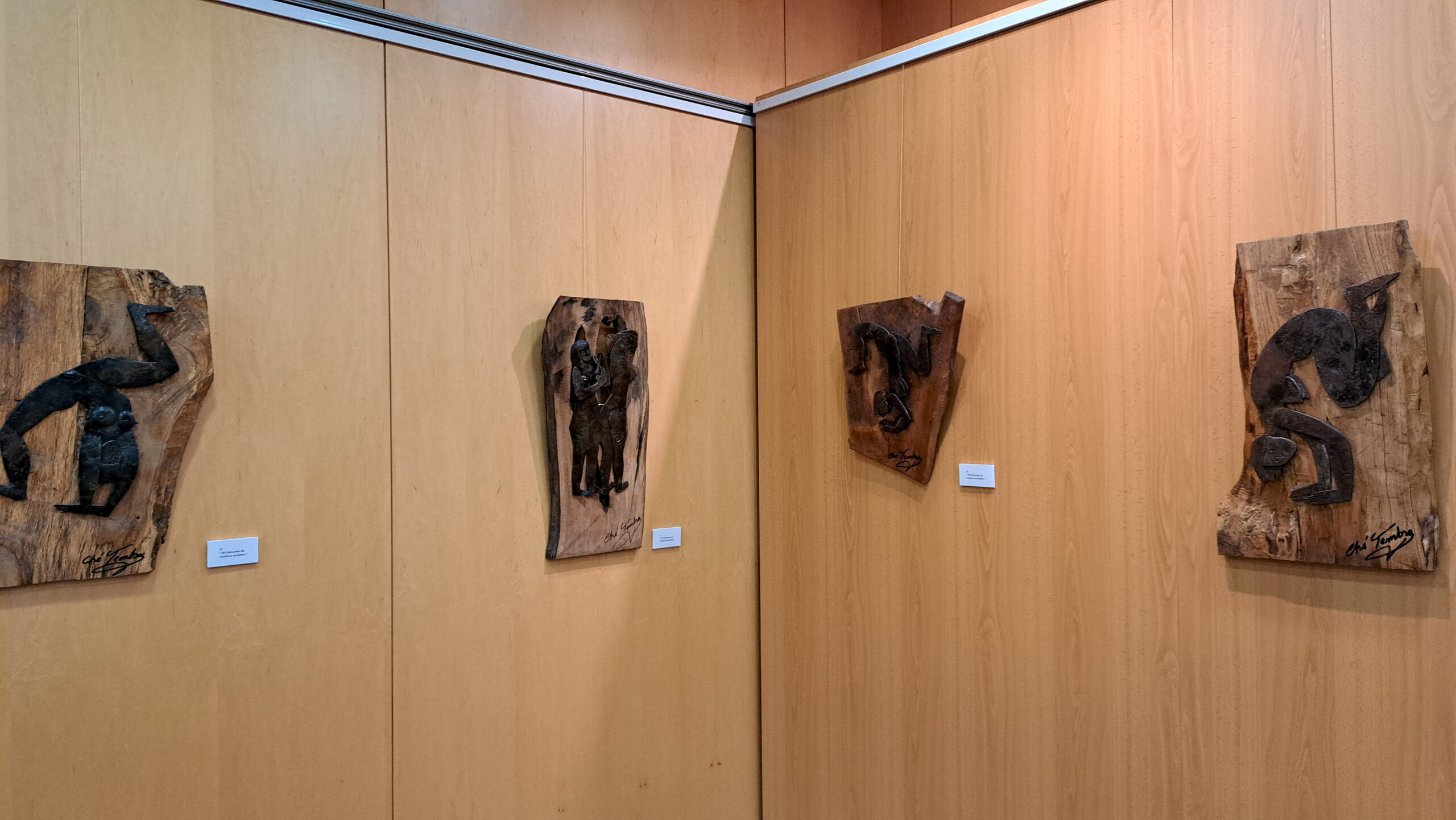 Che Tembra forxa debuxos de Díaz Pardo nunha nova mostra na Pobra ...